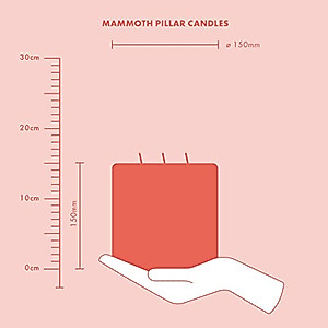 BOLSIUS Three Wick Big Pillar Candle Ivory – 6x6 Inches - Premium European Quality - 75 Hours Burn Time - Relight Unscented Large Pillar Candle - Smooth & Smokeless Flame - Wedding, & Party Candle