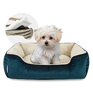 Miguel Small Dog & Cat Bed, Washable Removable Cover, Square, Cuddle Rectangle Pet Bed with Side Bolster, Blue, 20 Inch