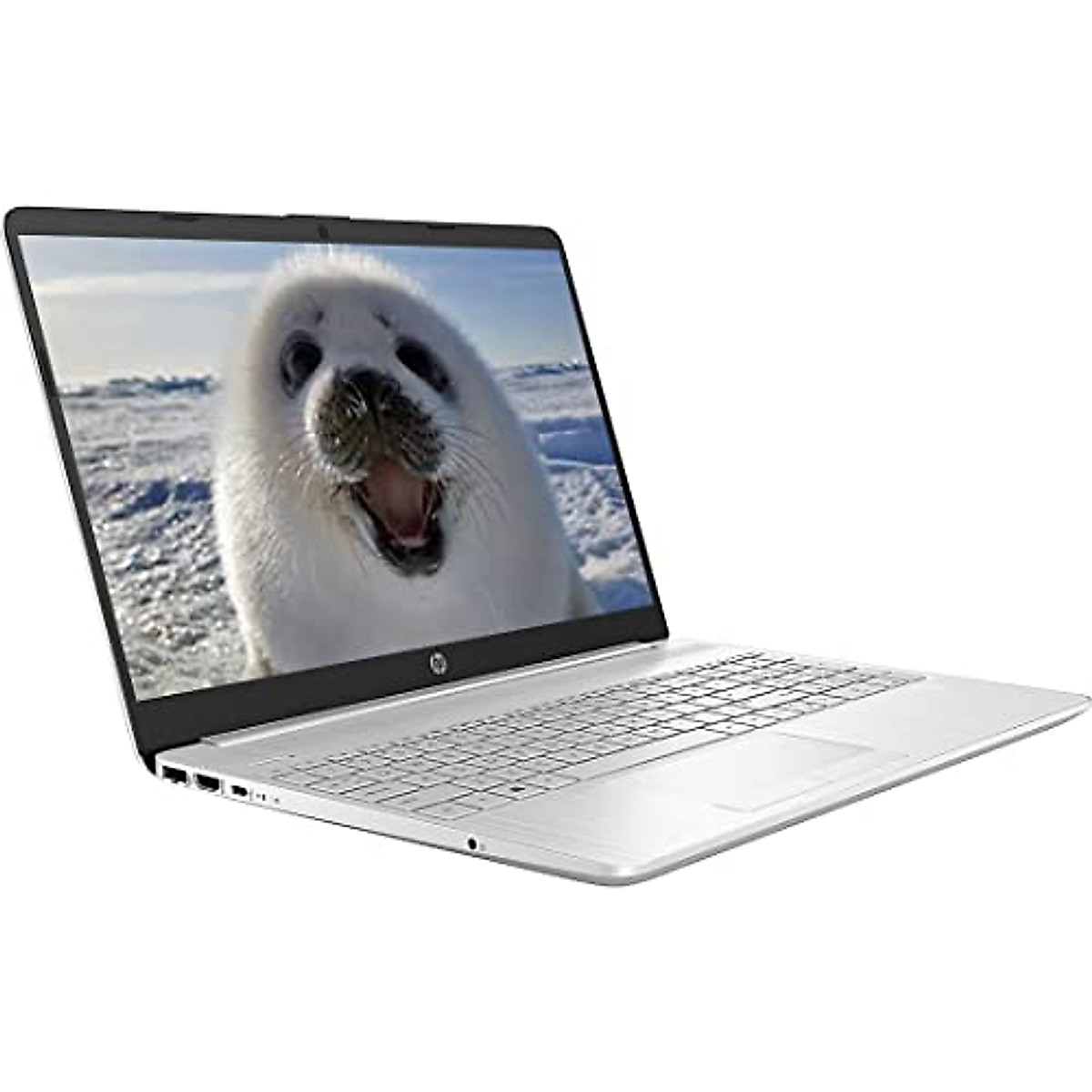 HP 2022 17.3" FHD IPS Laptop, 11th Gen Intel Core i3-1115G4(Beats i5-1035G7), 16GB RAM, 512GB PCIe SSD, Full-Size Keyboard, Intel UHD Graphics, HD Webcam, Windows 11 Pro, Silver, 32GB USB Card