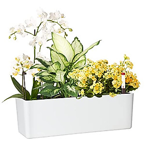 GardenBasix Elongated Self Watering Planter Pots Window Box 5.5 x 16 inch with Coconut Coir Soil Indoor Home Garden Modern Decorative Planter Pot for All House Plants Flowers Herbs 1, White 5.5" x16”