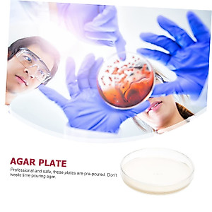 30 Pcs Nutrient Agar Plate Agar Petri Dishes for Mushrooms Tissue Culture Agar Plates Agar Plates for Experiment Dish Lab Dishes Kid Stuff Finished Product Child Specimen