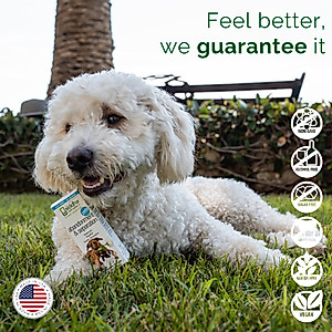 Siddha Remedies Abandonment & Separation for Pets | Natural Homeopathic Remedy for Dogs, Cats, and Animals | Naturally Helps Animals with Fears and Obsessive Behaviors | Supports Healthy Independence