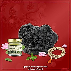 Vedic Vaani The Rarest Sculpture Laksmi Narayana Sacred Blessings Shaligram (Pack of 3)