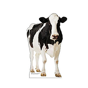 Advanced Graphics Cow Life Size Cardboard Cutout Standup