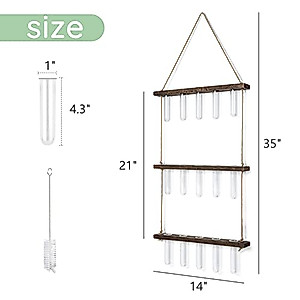 Mkono Plant Propagation Tubes, 3 Tiered Wall Hanging Plant Terrarium with Wooden Stand Mini Test Tube Flower Vase Glass Planter for Hydroponic Plant Cutting Home Garden Office Decor Plant Lover Gift