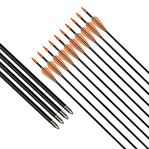 Practice Fiberglass Arrows Archery 30 Inch Target Shooting Safetyglass Recurve Bows Suitable for Youth Children Woman Beginner 6PCS