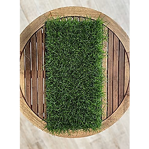 Bermuda Grass Plug Tray | EZ Plug 50 Grass Plugs Per Tray