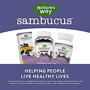 Nature’s Way Sambucus Elderberry Gummies for Kids, Immune Support Gummies*, with Vitamin C and Zinc, Delicious Berry Flavor, 60 Gummies