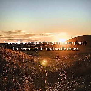 Ruth - Storyteller - Bible Study Book: Faithfulness in Famine