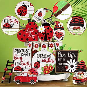 Maitys 15 Pieces Ladybug Tiered Tray Decor Set Spring Summer Wooden Blocks Sign Rustic Farmhouse Decor Ladybird Tiered Tray Decorative Trays Signs for Home Kitchen Shelf Table Decorations