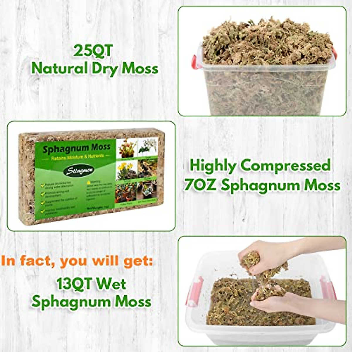 Stingmon 25QT Sphagnum Moss for Plants, Orchid Moss for Potted Plants Peat Moss, Dried Sphagnum Moss for Orchids Reptiles Potting Mix Soil Ochid Soil (7oz 200g)