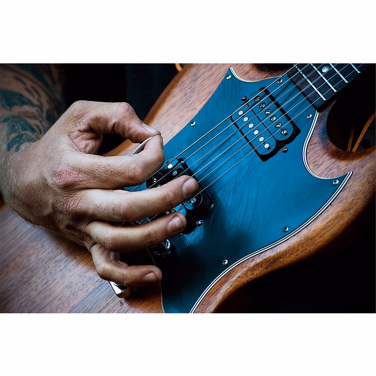 D'Andrea Snarling Dog Brain Nylon Guitar Picks 12 Pack with Tin Box (Black, 0.88mm)