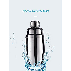 FRONTIER Cocktail Wine Shaker Stainless Steel Martini Shaker with Cap and Strainer Drink Mini Shaker 10OZ