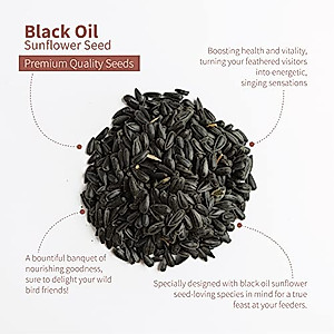 Schoen Farms Black Sunflower Seeds for Birds (4 LBS)