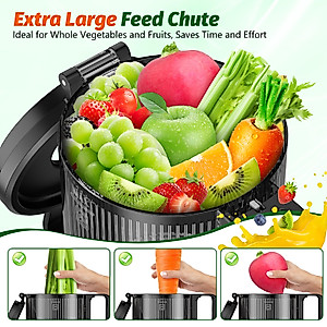 LQZ Cold Press Juicer,Slow Masticating Juicer Machines,350W Juice Extractor Machine,5.3" Large Bore Feed Chute Fit Whole Vegetables and Fruits,Easy to Clean Juicer（Black）