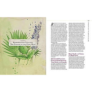 Body into Balance: An Herbal Guide to Holistic Self-Care