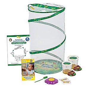 Insect Lore Butterfly Pavilion: Pavilion Habitat and Two Live Cups of Caterpillars with STEM Butterfly Journal – Life Science & STEM Education – Butterfly Kit