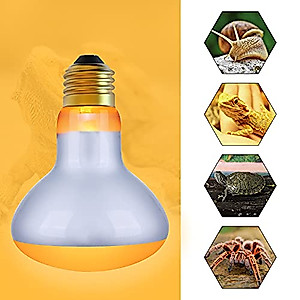 Infrared Heat lamp Basking Spot Light Bulb，LEDESIGN 75 Watt White Heat Lamp Bulbs for Reptiles and Amphibian Use, 2 Packs (White)