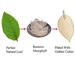 BOUTIQUELOVIN Gold Casual Long Leaf Necklaces for Women Boho Feather Costume Statement Necklaces Extra Long Gypsy Necklace