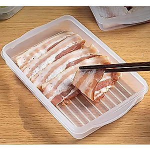 2 Pack Plastic Bacon Box, Deli Meat Saver Cold Cuts Fridge Keeper, Cheese Food Storage Container with Lid for Refrigerator, Shallow Low Profile Christmas Cookie Holder