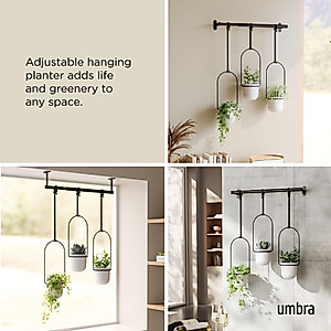 Umbra Triflora Hanging Planter for Window, Indoor Herb Garden, White/Black, Triple