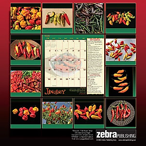 2014 Chile Peppers Wall