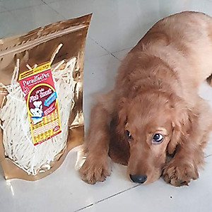 Polar Bear's Pet Shop 1 Pcs Family Pack Fish Flavor Sugar Glider Hamster Squirrel Chinchillas Small Animals Sandwich Snacks and Food (120g)