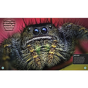 Super Bug Encyclopedia: The Biggest, Fastest, Deadliest Creepy-Crawlers on the Planet (DK Super Nature Encyclopedias)