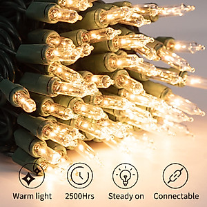 100 Counts Clear Christmas String Lights - 3 Pack 26.5 Feet Warm Mini Lights for Christmas Indoor Outdoor Patio Wreath Garden Wedding Party Thanksgiving Holiday Decorations, Green Wire