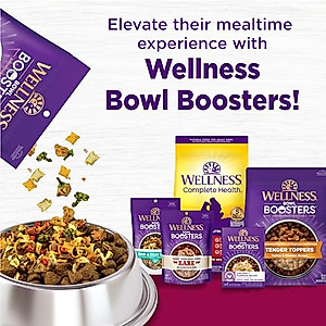 Wellness Complete Health Small Breed Dry Dog Food with Grains, Natural Ingredients, Made in USA with Real Turkey, For Dogs Up to 25 lbs. (Senior, Turkey & Peas, 4-Pound Bag)