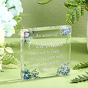 Yulejo Going Away Gifts for Coworkers Women Retirement Plaque Goodbye Best Boss Colleague Acrylic Coworker Leaving Keepsake Paperweight Men Healthcare Worker(Greenery)