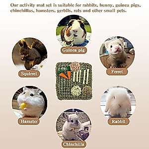 Tfwadmx Rabbit Activity Mat Bunny Chew Toy for Teeth Grinding Small Animal Seagrass Activity Zone Seagrass Mat Play Ball Carrot Toys for Hamster,Chinchilla,Guinea Pig or Other Rodent Pets