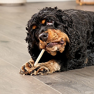 Treatly Beefhide Twist Sticks 5" Dog Chew Treats - Natural Flavor, 1 lb/1 Pack