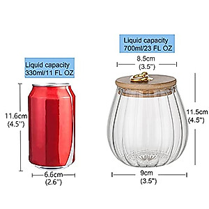 FANTESTICRYAN Glass Coffee Nuts Canister Airtight Storage Jar Petal Decorative Container with Bamboo Lid Metal Handle Easy to Grasp 700ml, 23 FL OZ