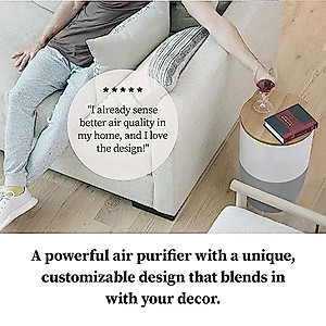 Dupray Bloom™ Air Purifier for Large Rooms with Planter or Custom Accent Table Design | For Home, Bedroom, Office, Dust, Pets | H13 HEPA Air Filtration (Accent Table - Walnut, Cloudy Gray)