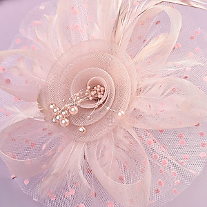 Zivyes Blush Pink Fascinators Hat for Women Tea Party Headband Kentucky Derby Wedding Cocktail Flower Mesh Feathers Hair Clip