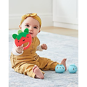 Skip Hop Baby Musical Toy Set, Farmstand, Berry Cute Band