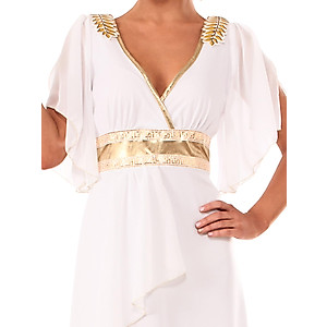 Rubies Costume Women's Grecian Adult Costume Dress, Multi, Standard for themed parties and Halloween