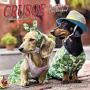 Crusoe the Celebrity Dachshund 2021 Mini Wall Calendar (Dog Breed Calendar)