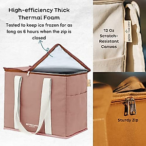 Nook Theory 4-Pack Bamboo Fiber Dinner Plates - Bamboo Plates Reusable, Unbreakable Plates, Food-Grade - Dishwasher Safe Plates - Kids Plates, Toddler Plates for Home - (Duo Plates + Salmon Bag)