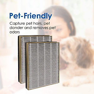 Flintar True HEPA Replacement Filter, Compatible with TaoTronics TT-AP002 Air Purifier and VAVA VA-EE008 Air Purifier, 3-in-1 Premium H13 Grade True HEPA Filter, 2-Pack (2)