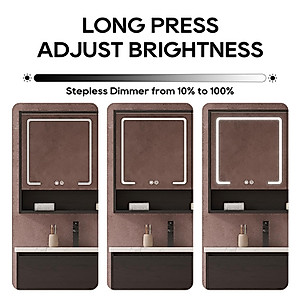 AmpleCharmic 24'' Medicine Cabinet Mirror, Barhroom Medicine Cabinet with LED Light, 3-Color, Dimmer, Defogger, Greywalnut