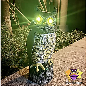 Owlsome Solar Owl with Flashing Eyes, Rotating Head, Hoot Sound, Motion Detector and Silent Mode, Plastic Owl Garden Sculpture, Garden Decoration
