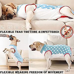Dog Surgery Recovery Suit, Dog Recovery Suit Female Male Surgical Recovery Shirt Bodysuit Calm Vest for Neutering, Physiological, Weaning, Anti Licking