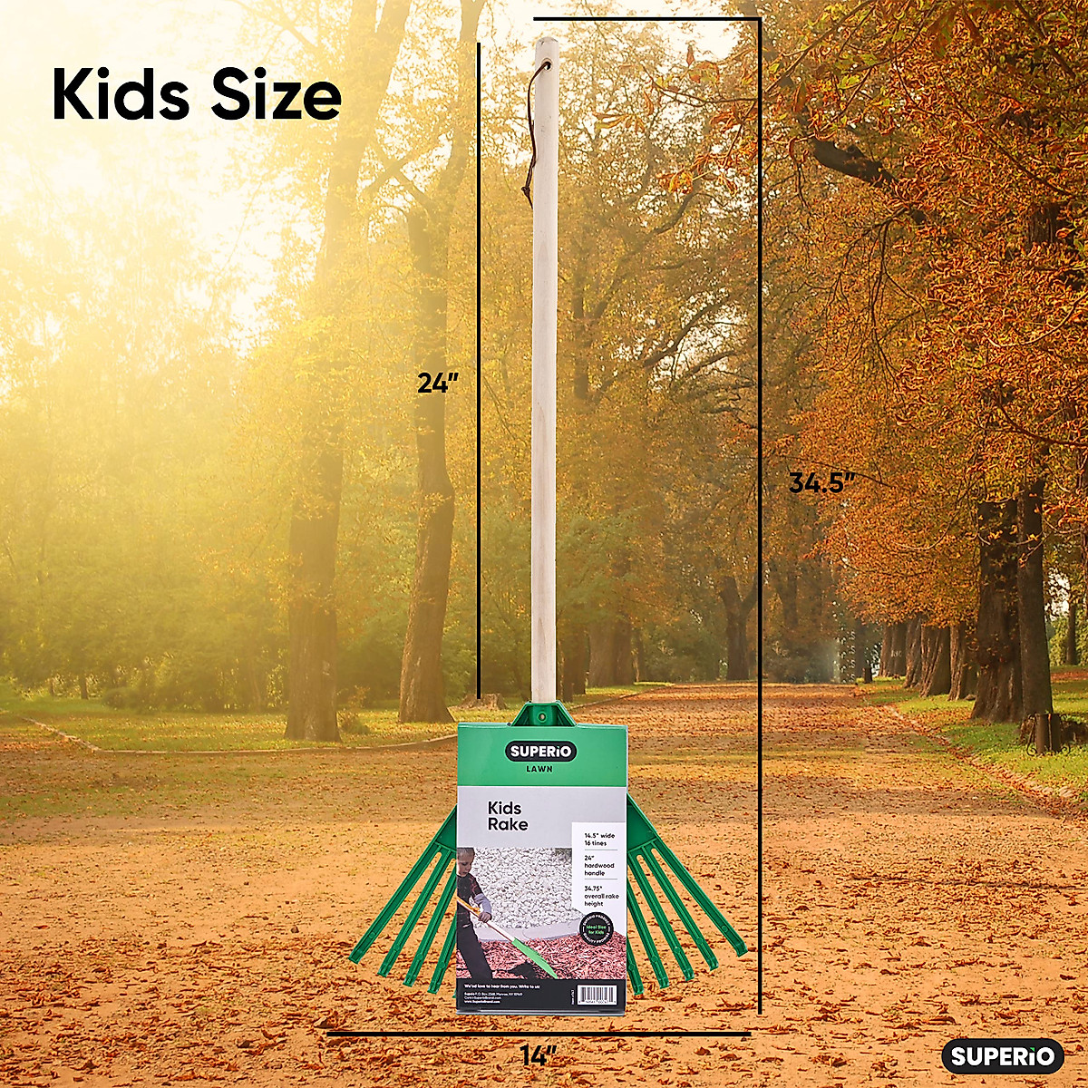 Superio Kids Rake with Hardwood Handle, Gardening and Lawn Care Tools for Kids, Sweep Leaves and Tidying Up The Garden, Plastic Tines and Heavy Duty Wooden Handle 34" (Kid Size, Green, 1-Pack)