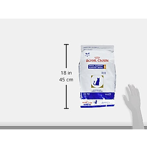 ROYAL CANIN Feline Renal Support S Dry (6.6 lb)