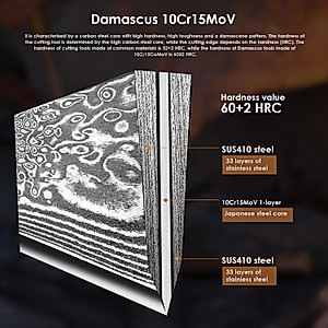 Damascus Chef Knife 8 Inch, Professional Japanese VG10 Damascus Steel Super Sharp Cooking Knife, G10 Ergonomic Color Wooden Handle with Luxury Gift Box