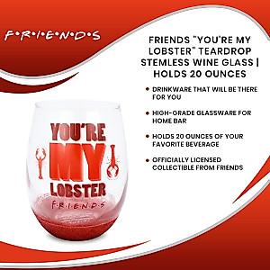 Silver Buffalo Friends You're My Lobster Teardrop Stemless Wine Glass | Holds 20 Ounces