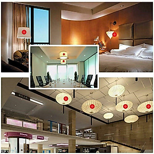 Lxcom Lighting G45 LED Bulb 3W Globe Vanity Light Bulb 30 Watt Replacement 300LM Cool White 6500K LED Light Bulb E26/E27 Base for Makeup Mirror Porch Bedroom Dressing Room,8 Pack