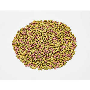 Tortoise Diet Fruit & Flower 680g